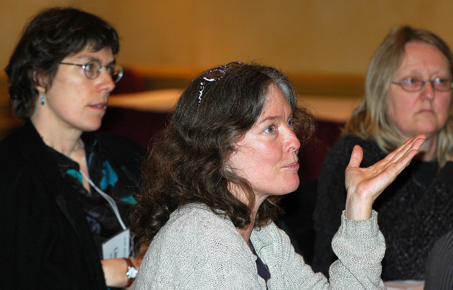 Linda Morrison, Karen Young, Connie Kaldor - ELAN