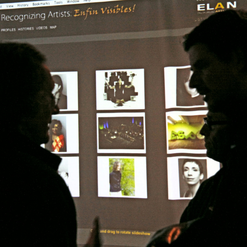 recognizing artists enfin visibles 2011 2 michael reinhart - ELAN